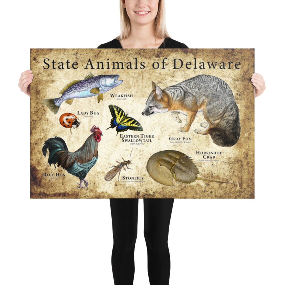 Impresión del cartel de Delaware State Animals | Etsy