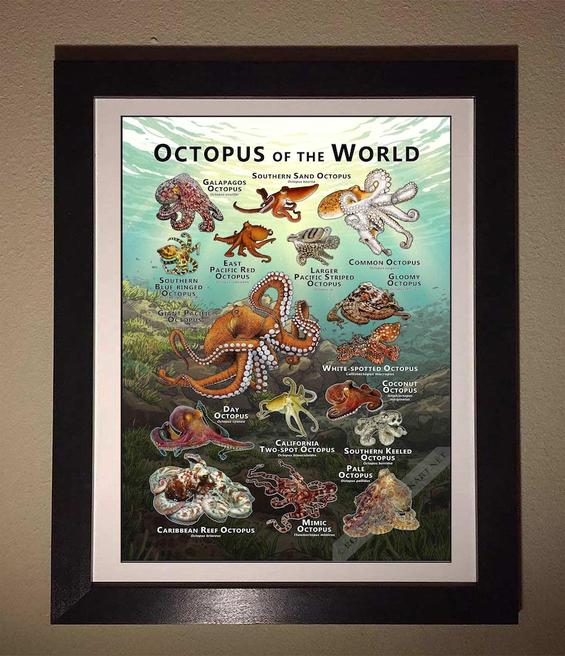 Octopus of the World Poster Print - SIGNED BY ARTIST! - Etsy