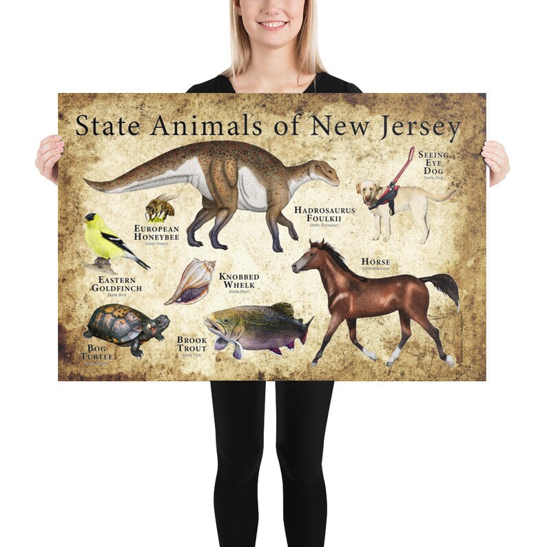 New Jersey State Animals Poster Print - Etsy