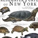 Freshwater Turtles of New York Poster Print/field Guide - SIGNED BY ...
