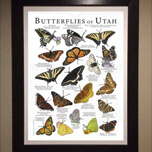 Butterflies of Utah Poster Print/field Guide - SIGNED BY ARTIST! - Etsy