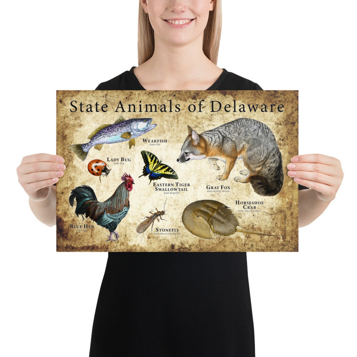 Impresión del cartel de Delaware State Animals | Etsy