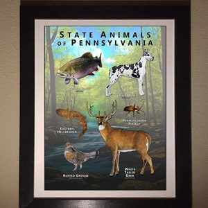Pennsylvania State Animals Poster Print - Etsy