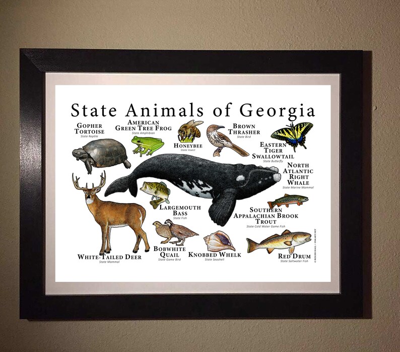 Georgia State Animals Poster Print - Etsy