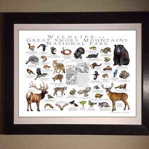 Wildlife of Great Smoky Mountains National Park/field Guide - SIGNED BY ...