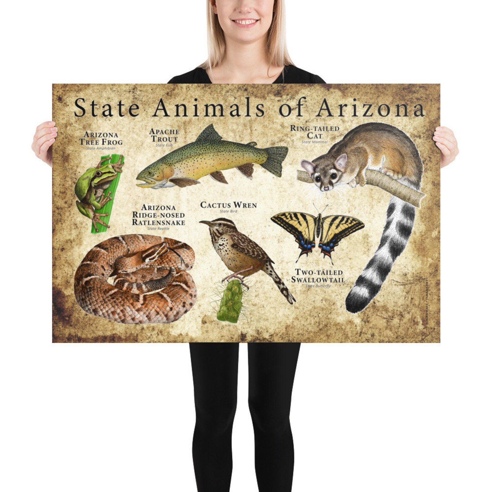 Arizona State Animals Poster Print - Etsy