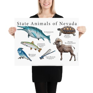 Nevada State Animals | Etsy