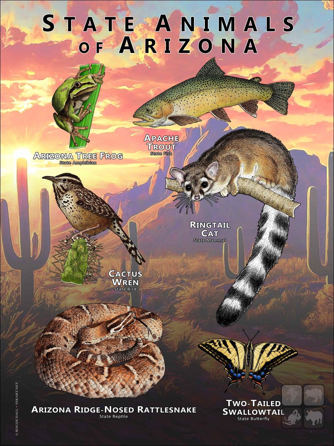 Arizona State Animals Poster Print - Etsy