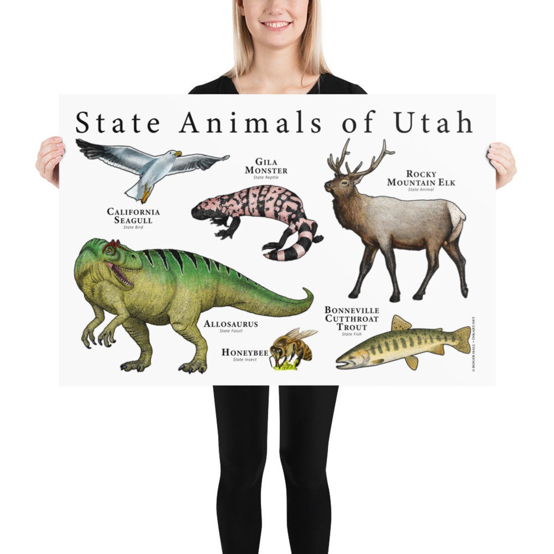 Utah State Animals Poster Print | Etsy