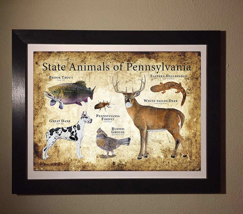 Pennsylvania State Animals Poster Print - Etsy