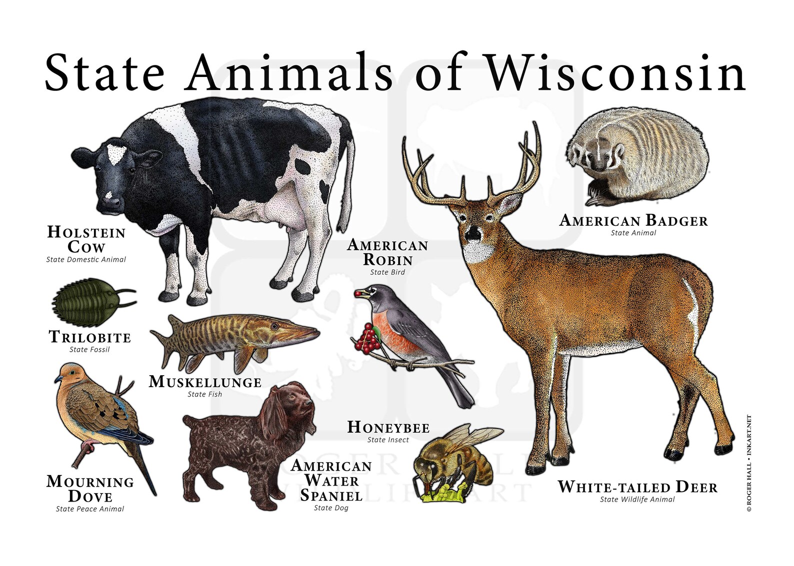 Wisconsin State Animals Poster Print - Etsy