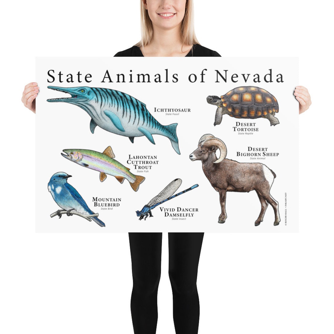 Nevada State Animals | Etsy