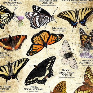 Butterflies of Utah Poster Print/field Guide - SIGNED BY ARTIST! - Etsy