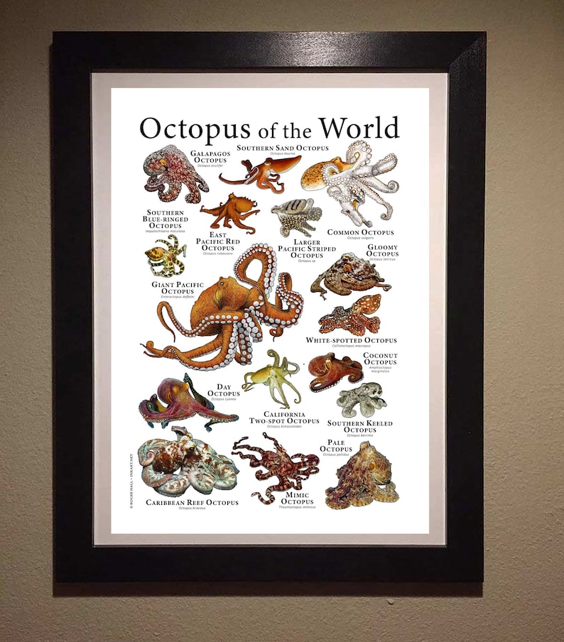 Octopus of the World Poster Print - SIGNED BY ARTIST! - Etsy