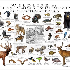 Wildlife of Great Smoky Mountains National Park/field Guide - SIGNED BY ...