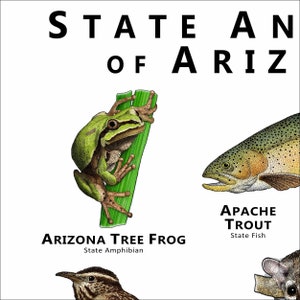 Arizona State Animals Poster Print - Etsy