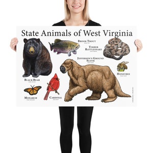 West Virginia State Animals | Etsy Canada