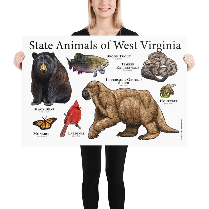 West Virginia State Animals | Etsy Canada