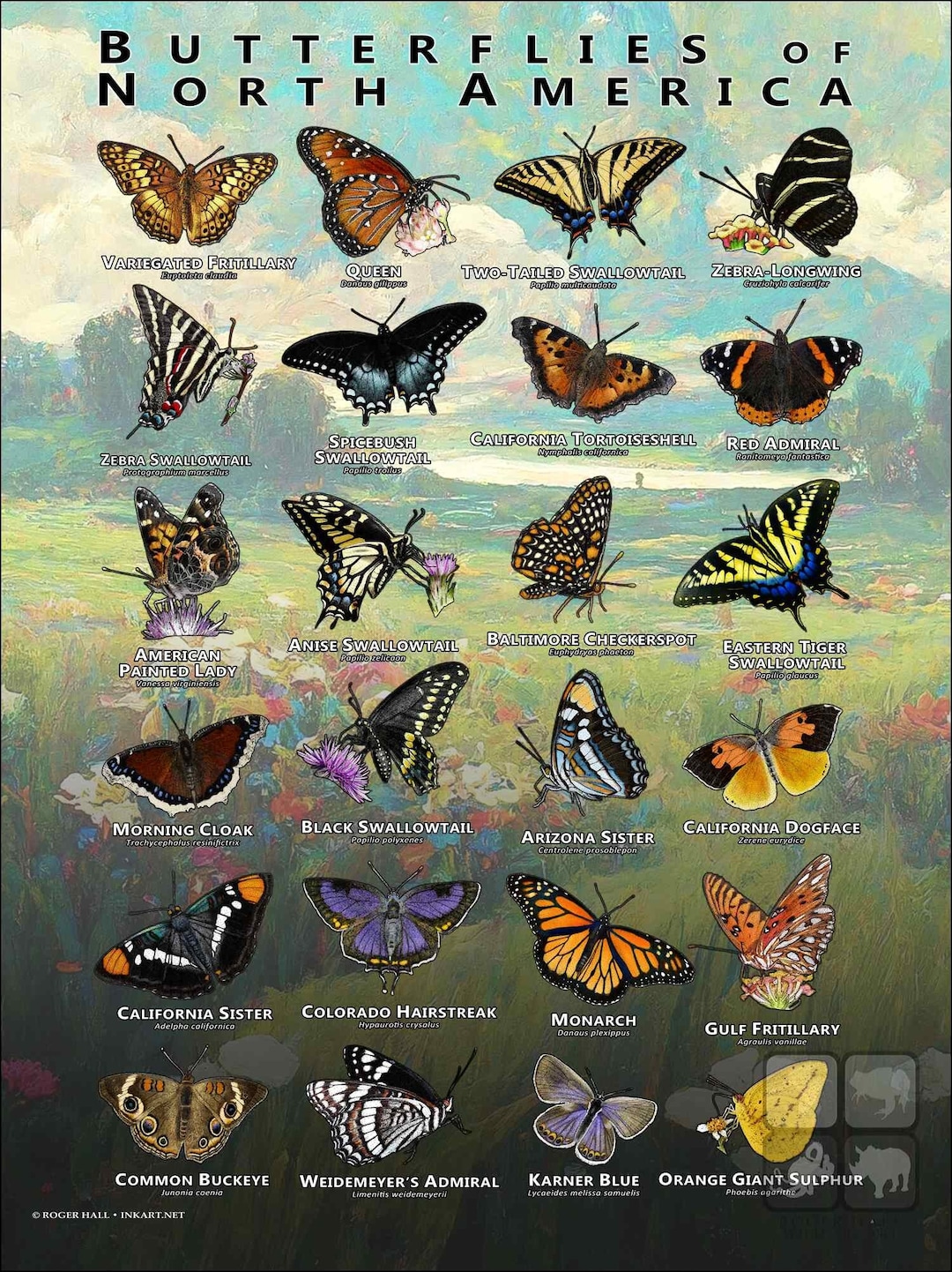 Butterflies of North America Art Print / Field Guide - SIGNED BY ARTIST ...