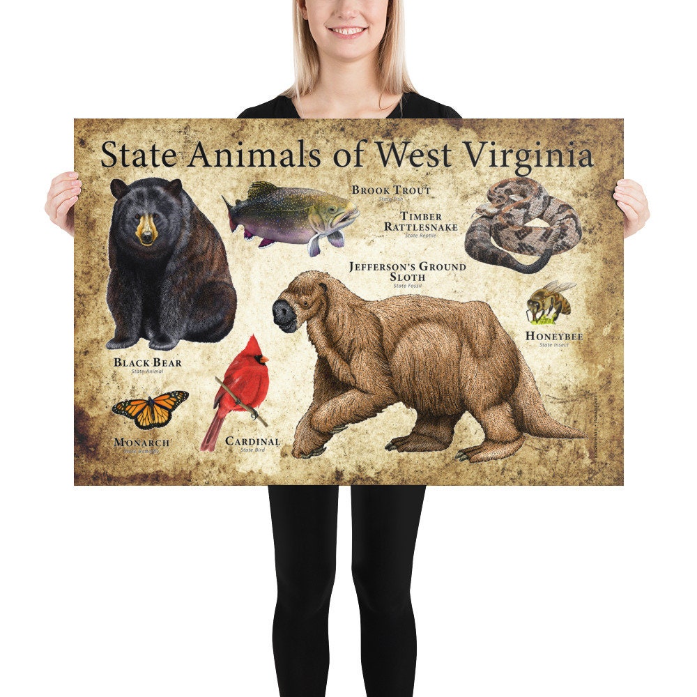 West Virginia State Animals | Etsy