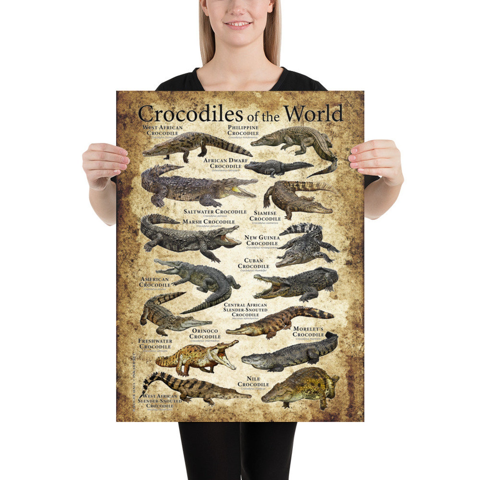 Crocodiles of the World Poster Print - SIGNED BY ARTIST! - Etsy