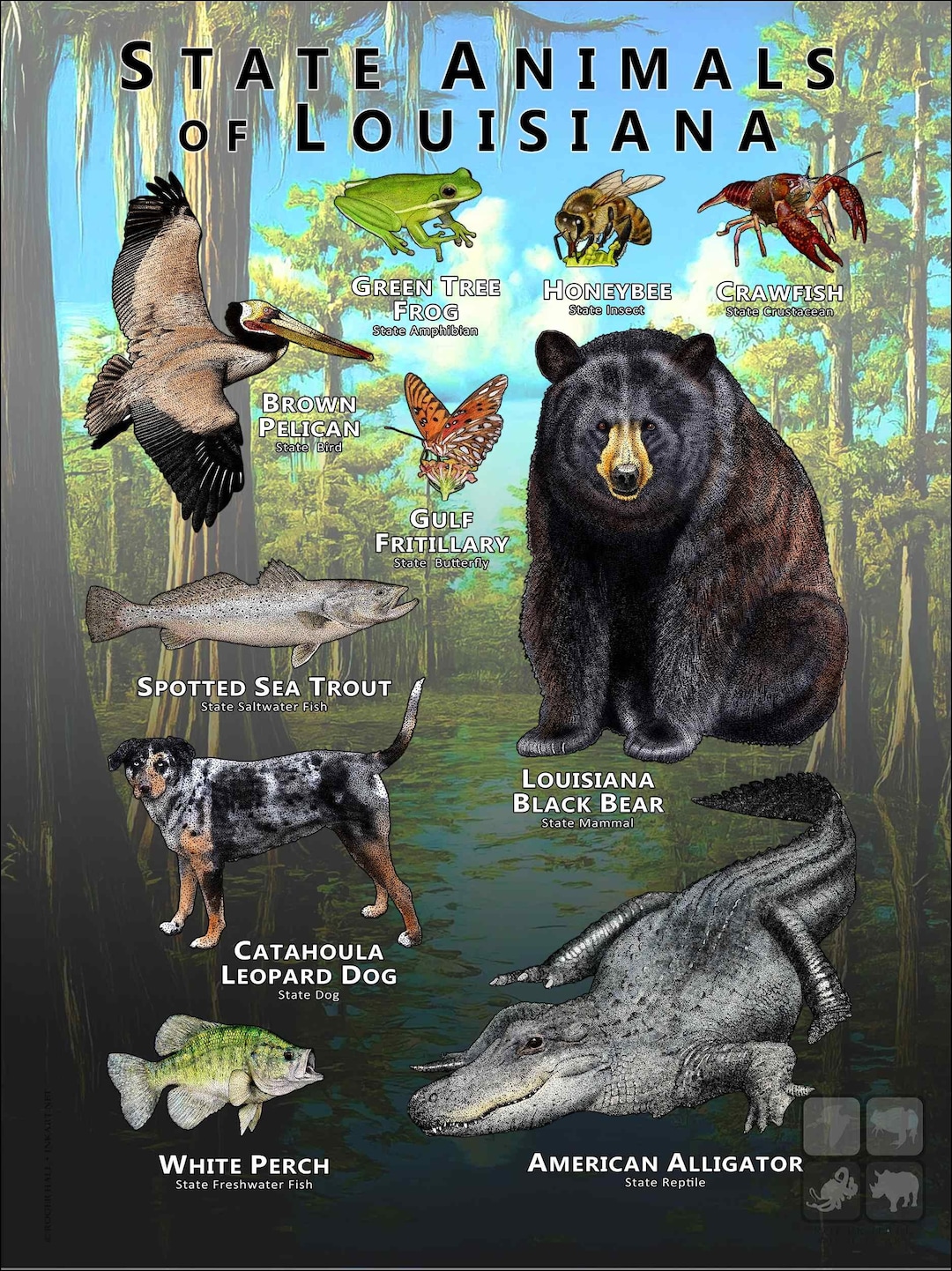 Louisiana State Animals Poster Print - Etsy