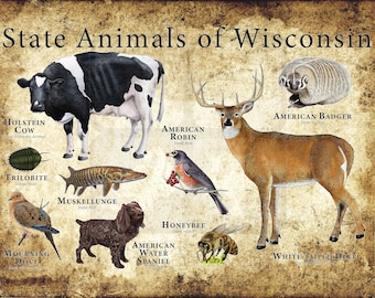 Arkansas State Animals Poster Print | Etsy