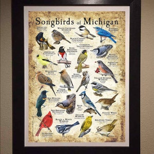 Songbirds of Michigan Poster Print - Field Guide - SIGNED BY ARTIST! - Etsy