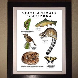 Arizona State Animals Poster Print - Etsy