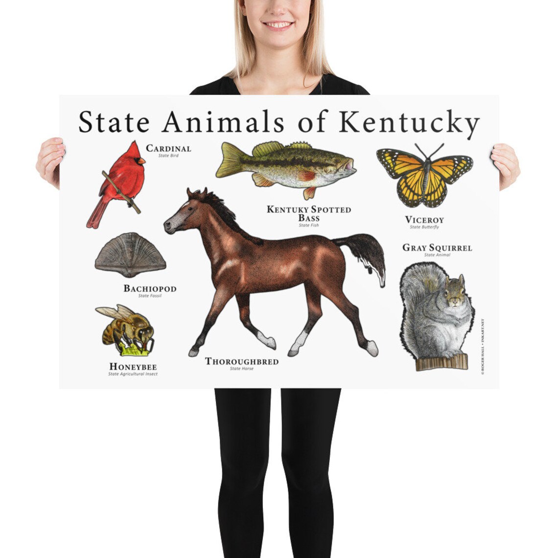 Kentucky State Animals Poster Print - Etsy