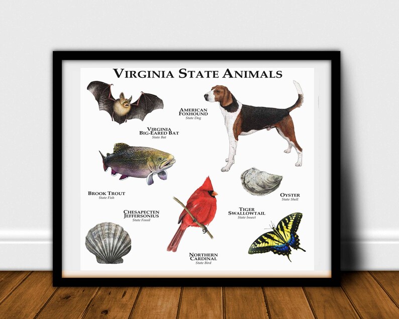 Virginia State Animals Poster Print | Etsy