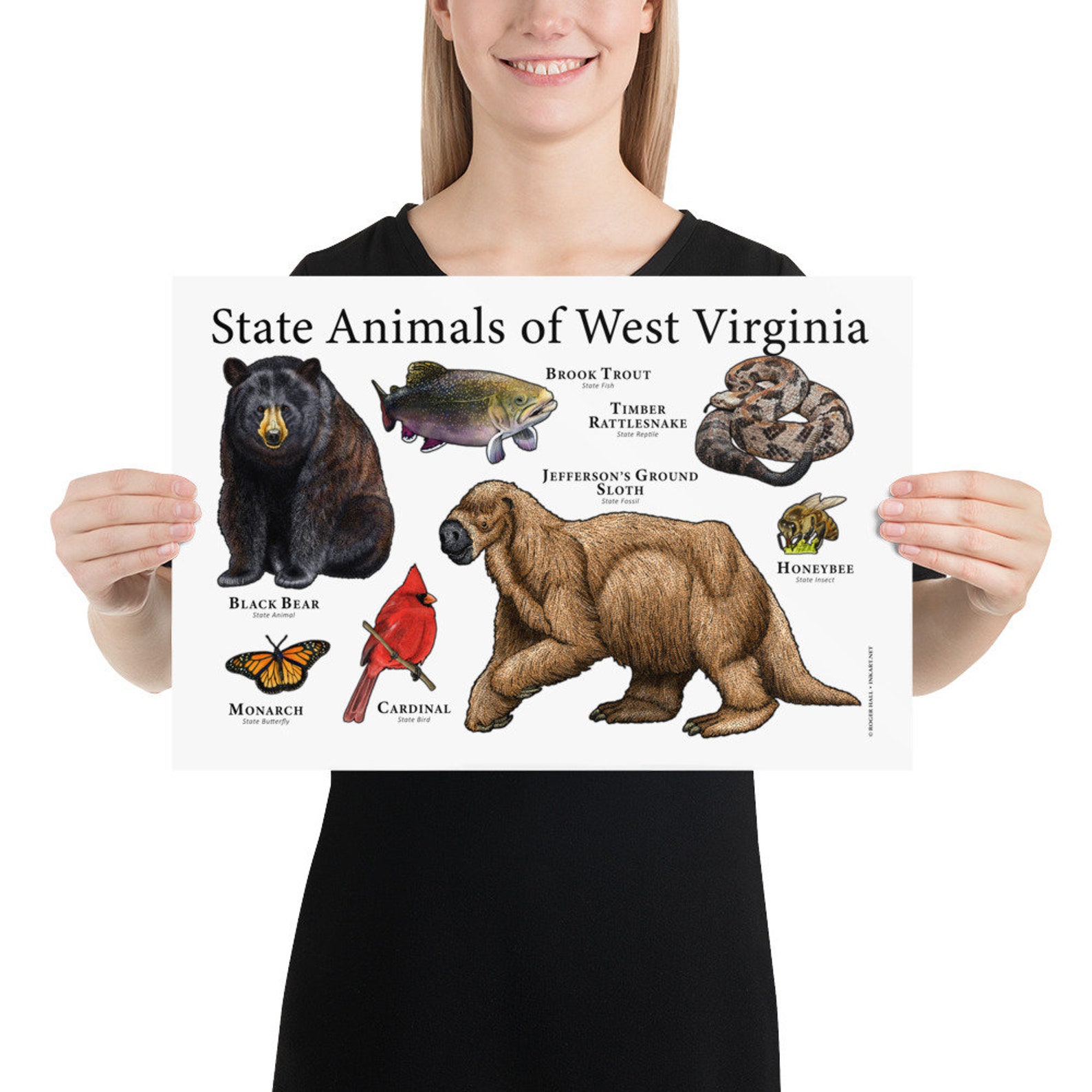West Virginia State Animals | Etsy Canada
