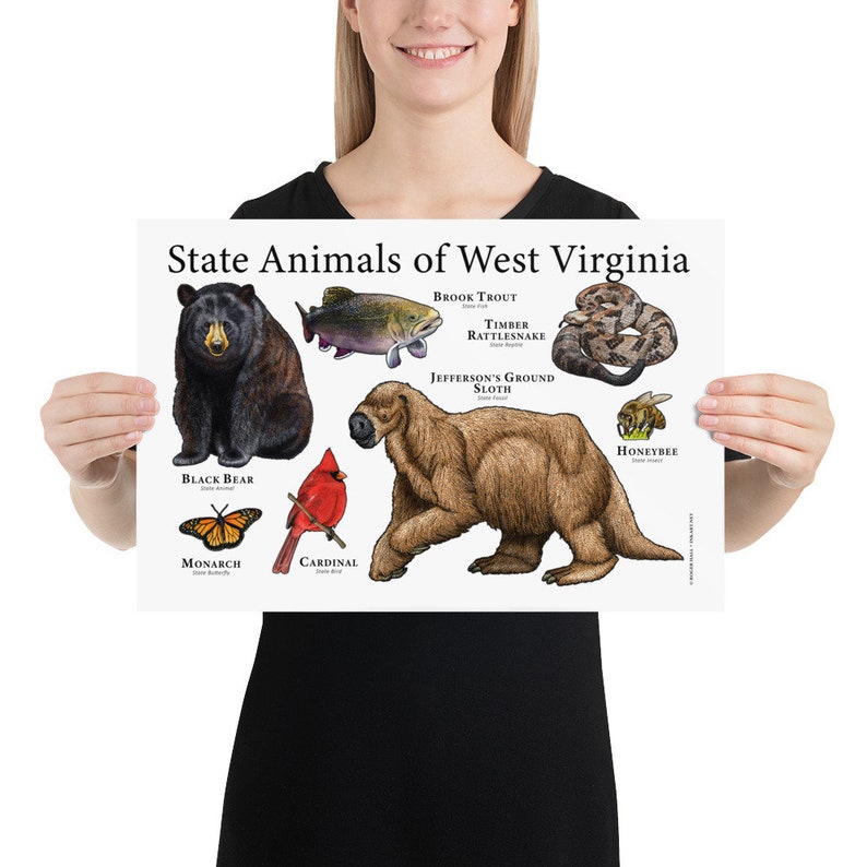West Virginia State Animals - Etsy