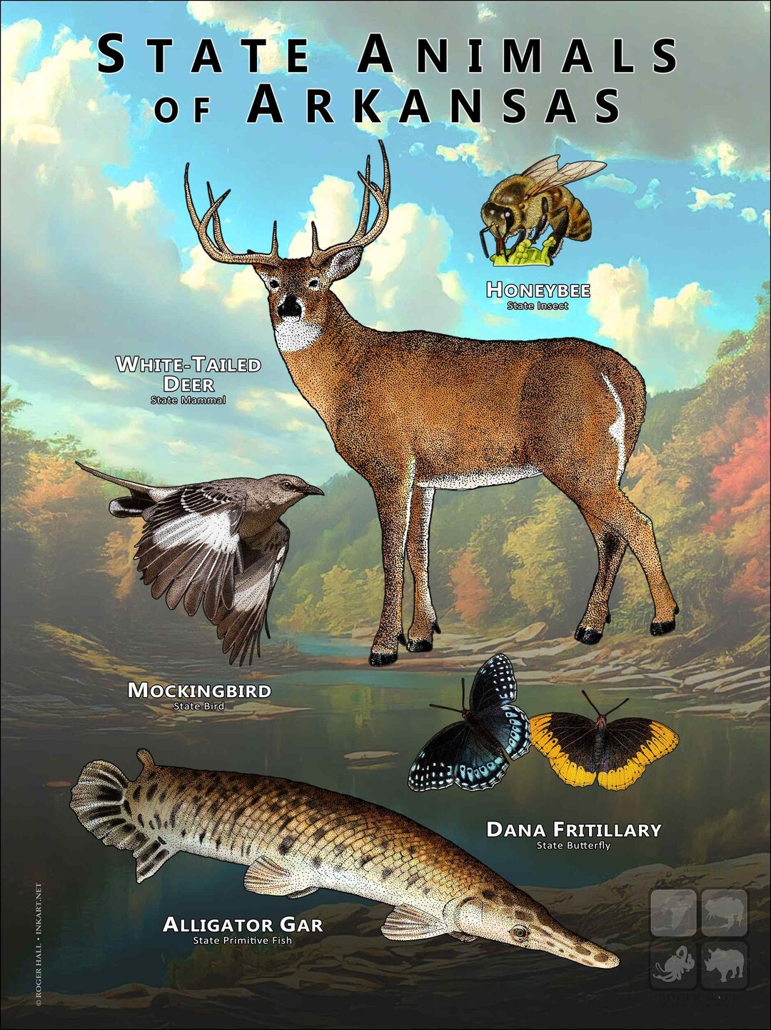 Arkansas State Animals Poster Print - Etsy Canada