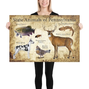 Pennsylvania State Animals Poster Print | Etsy