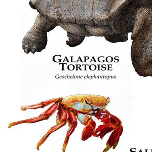 Animals of the Galapagos Islands Poster Print - SIGNED BY ARTIST! - Etsy