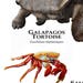 Animals of the Galapagos Islands Poster Print - Etsy