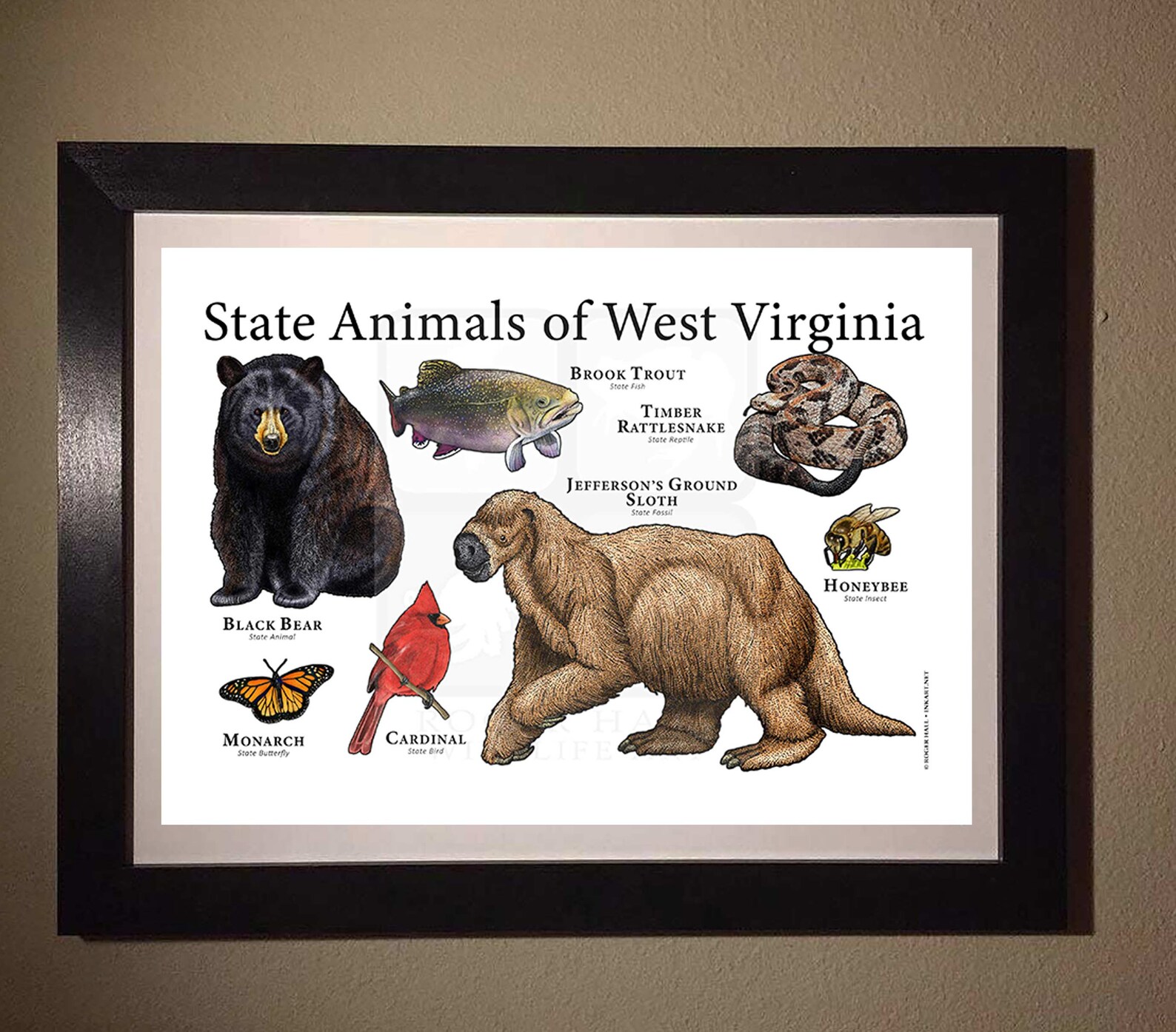 West Virginia State Animals | Etsy Canada