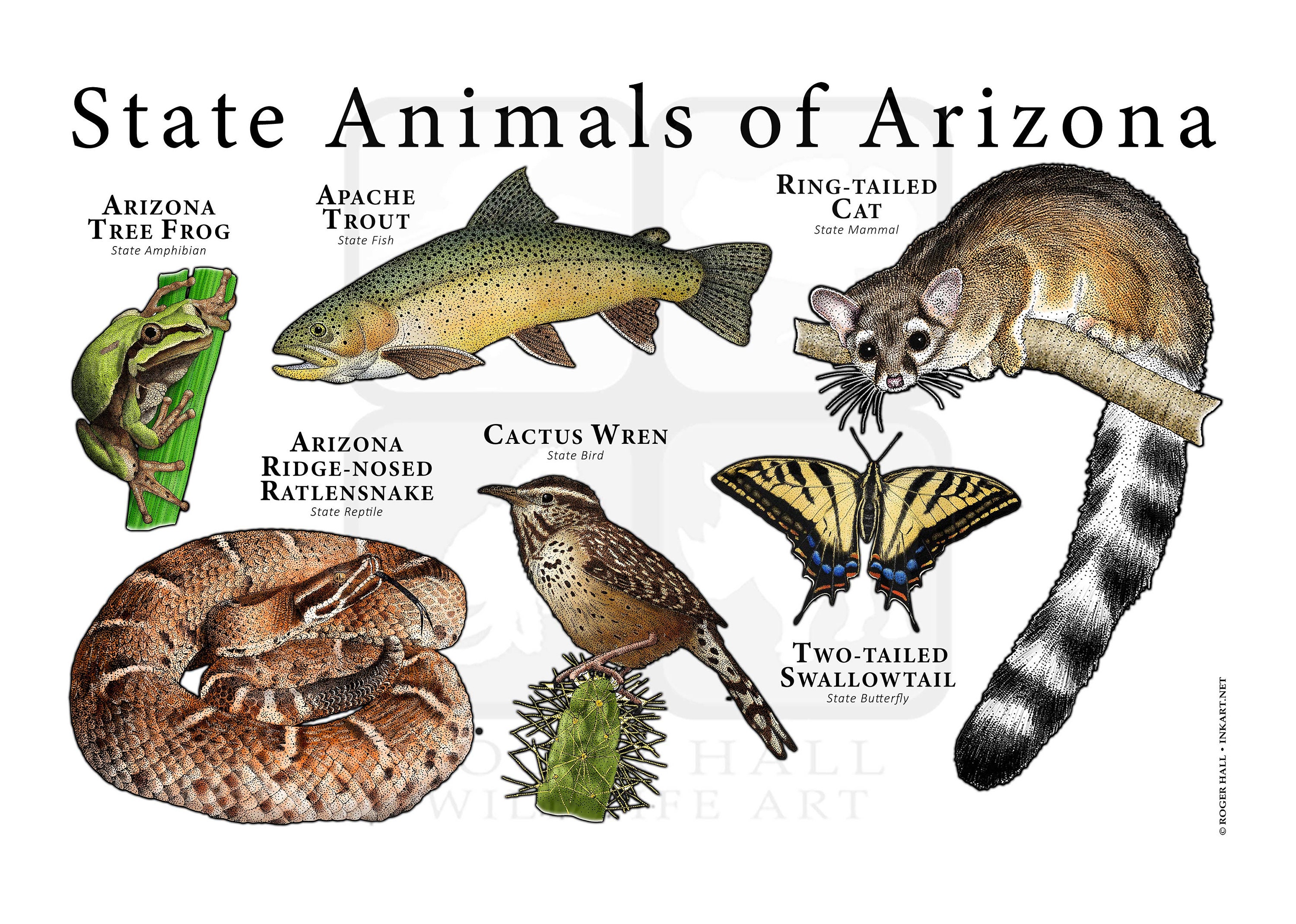 Arizona State Animals Poster Print - Etsy