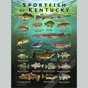 Sportfish of Kentucky Poster Print/field Guide - SIGNED BY ARTIST! - Etsy