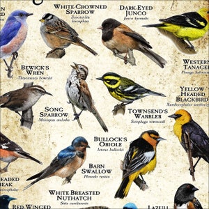 Songbirds of Utah Poster Print - Field Guide - Etsy