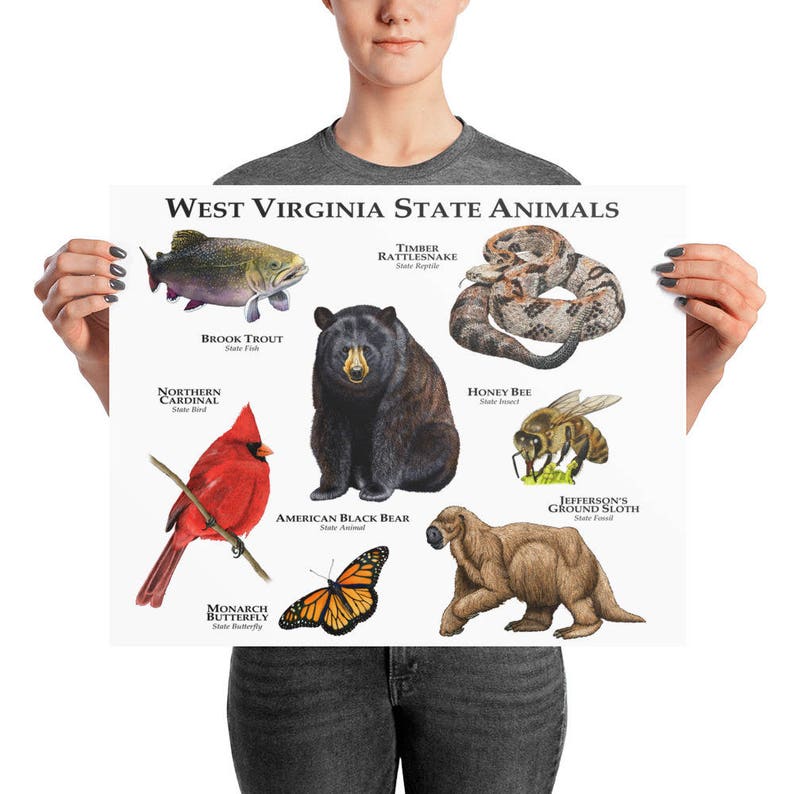 West Virginia State Animals | Etsy