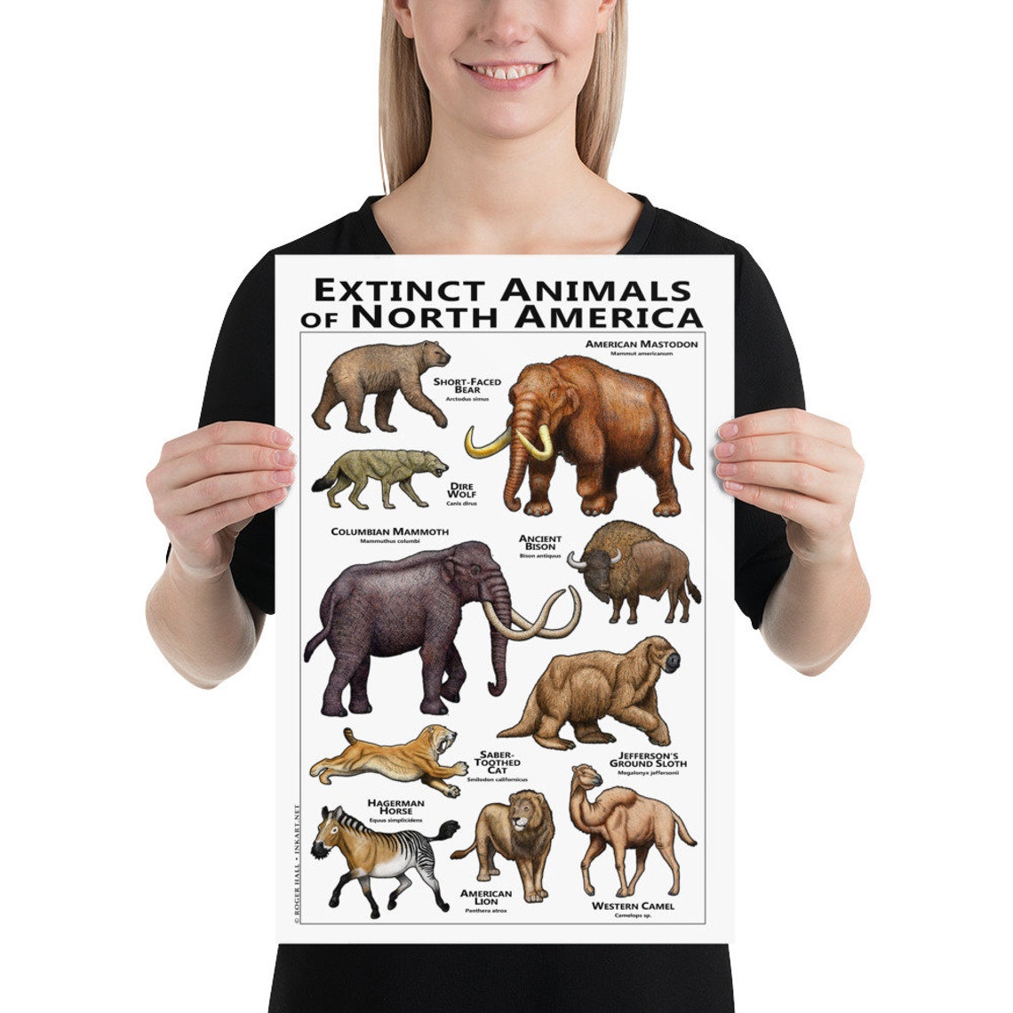 Extinct Animals of North America Poster | Etsy