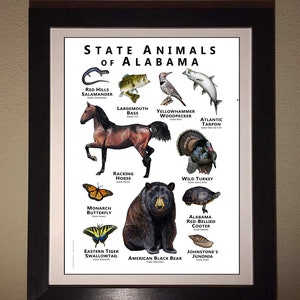 Alabama State Animals Poster - Etsy