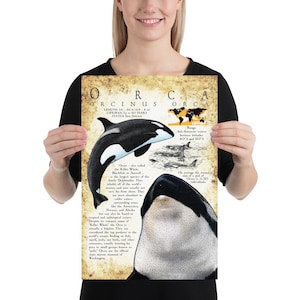 Orca Poster / Infographic | Etsy