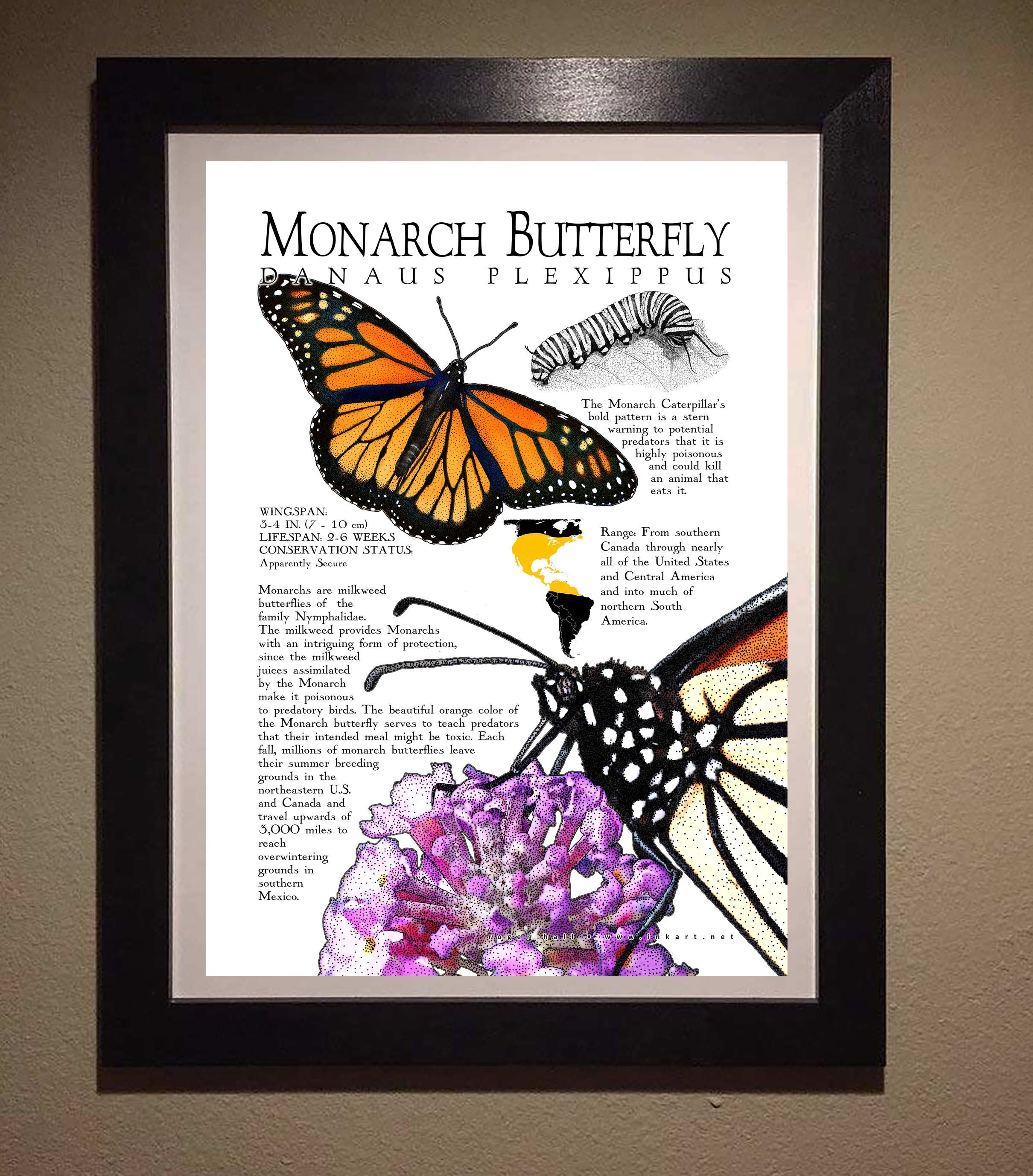 Monarch Butterfly Poster Infographic | Etsy