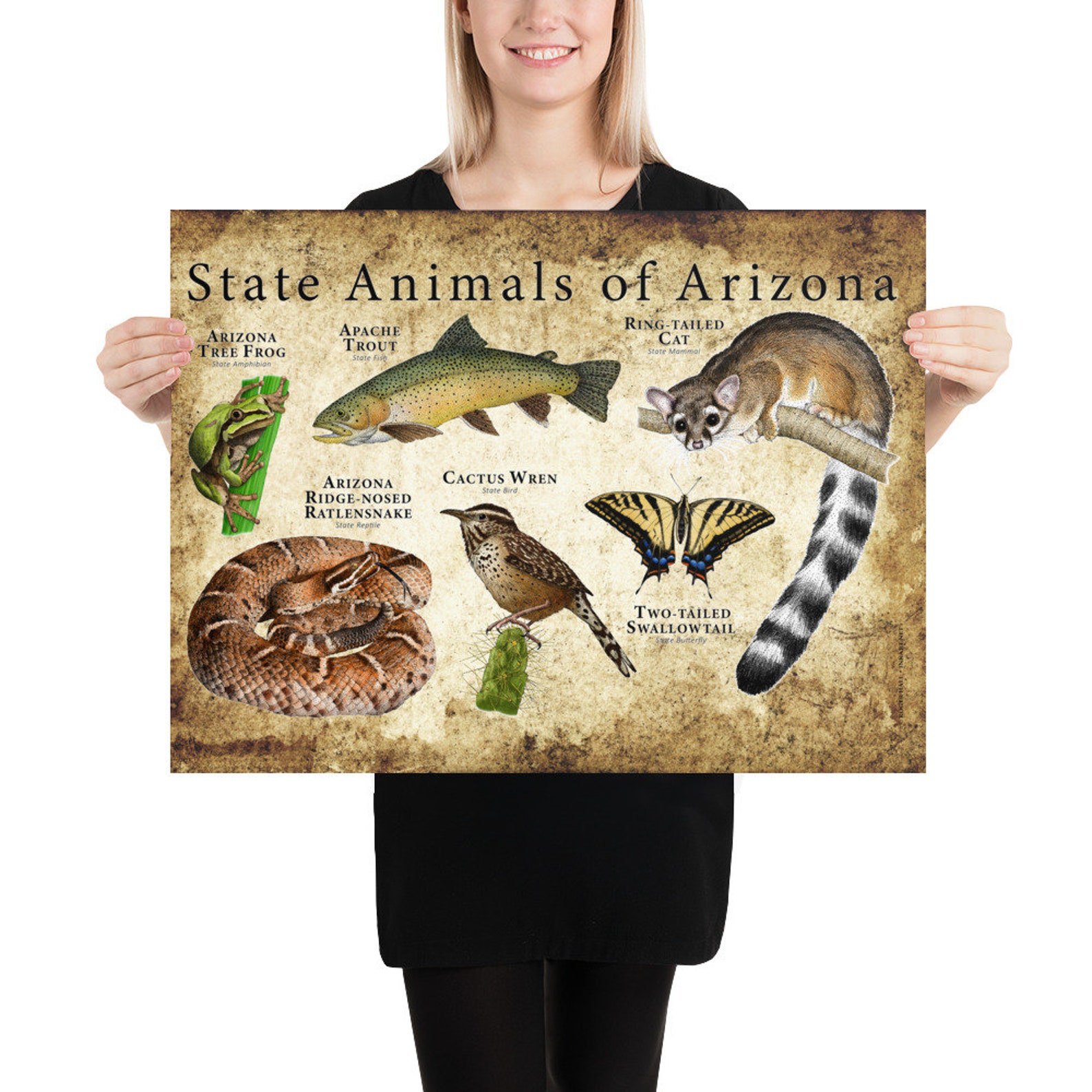 Arizona State Animals Poster Print - Etsy