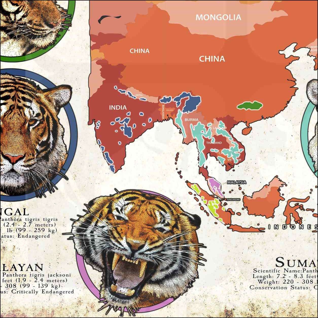 Malayan Tiger Map