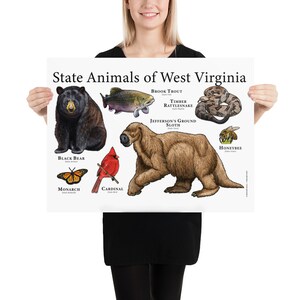 West Virginia State Animals | Etsy Canada