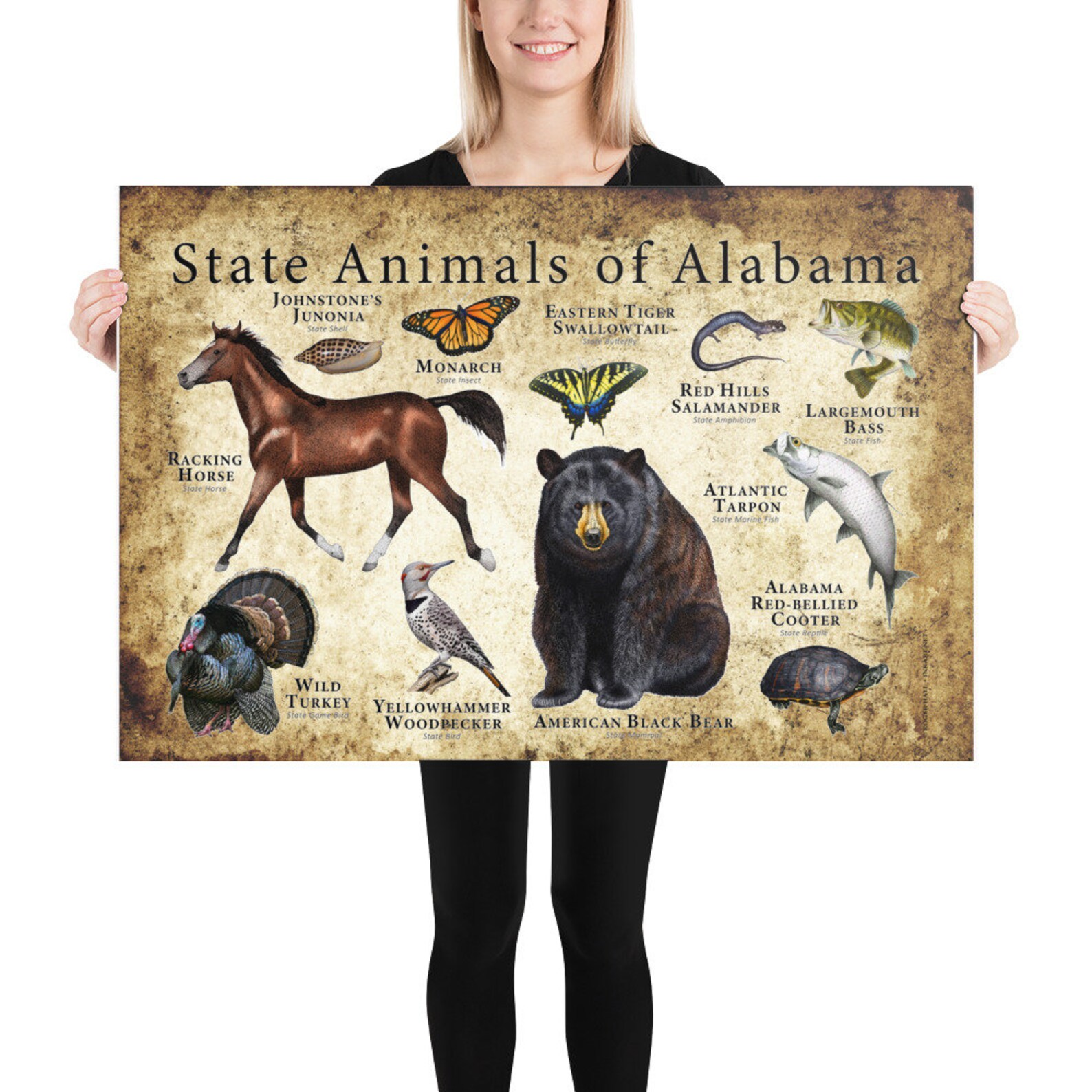 Alabama State Animals Poster - Etsy